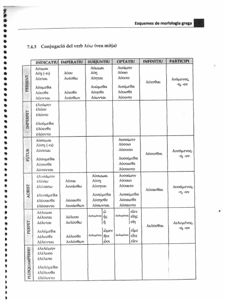 Verbs Dossier Elvira Grec | PDF