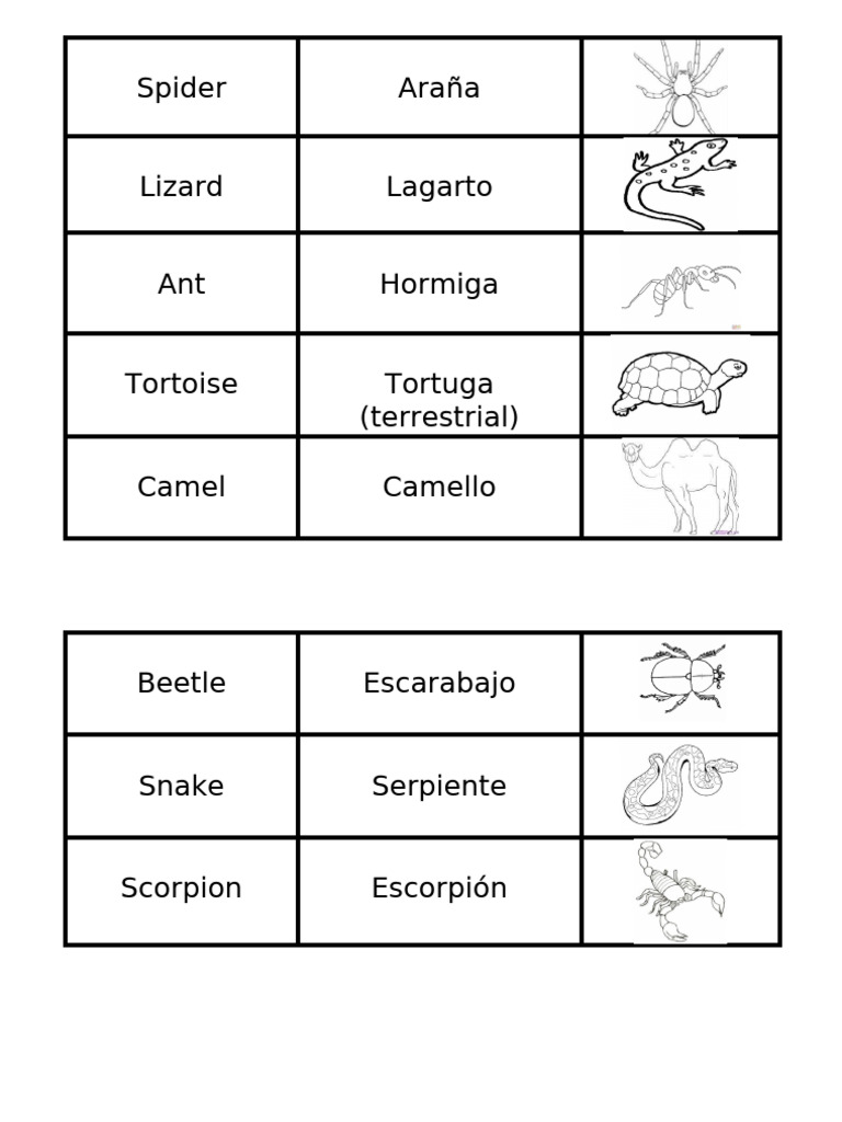Animal Names in English and Spanish | PDF