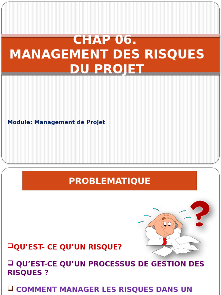 Chap 06 Management Des Risques | PDF | Risque | Gestion des risques