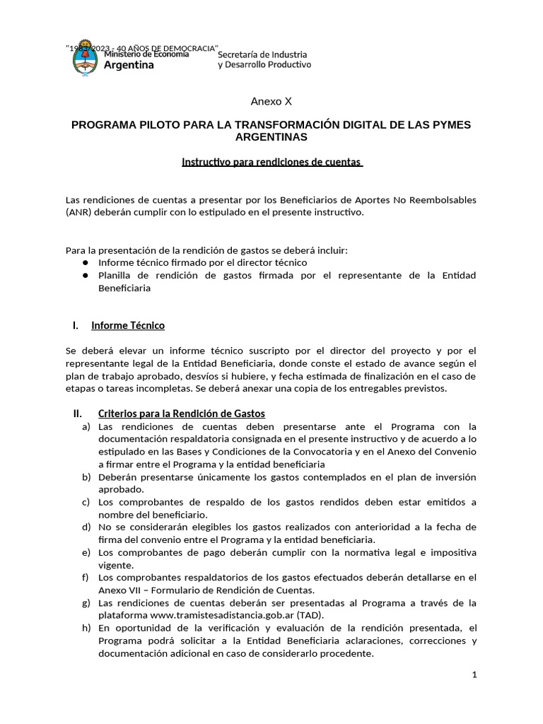 Anexo X - Instructivo de Rendicion de Cuentas 0 | PDF | Factura