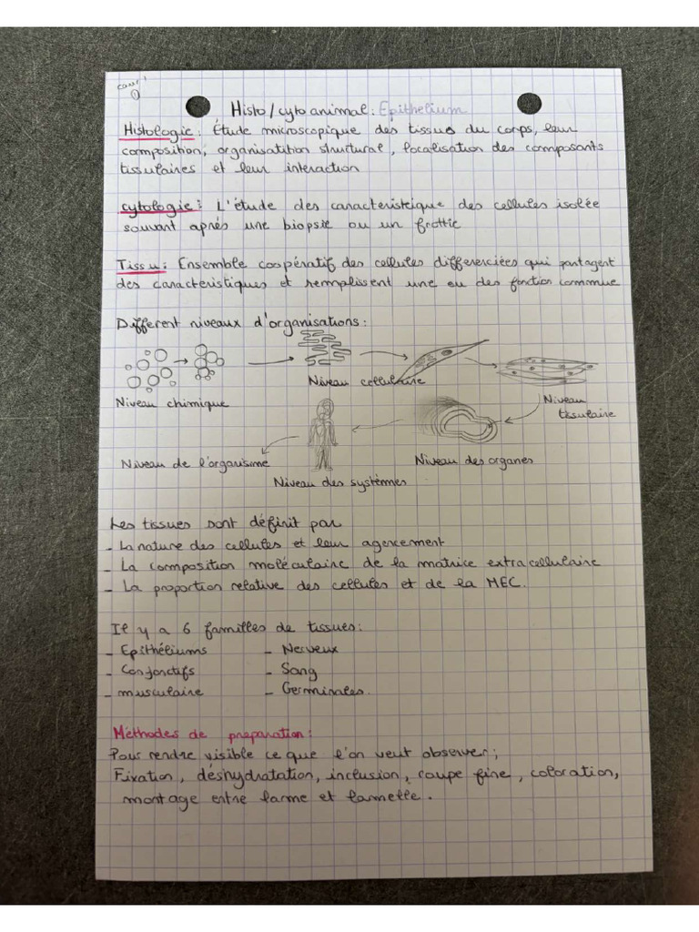 Histo:cyto Animal Épithélium | PDF