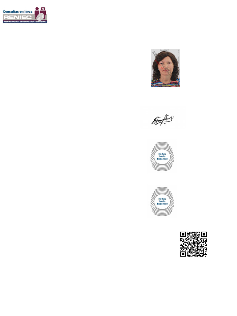 Consulta - 2025-02-26T155539.519 | PDF