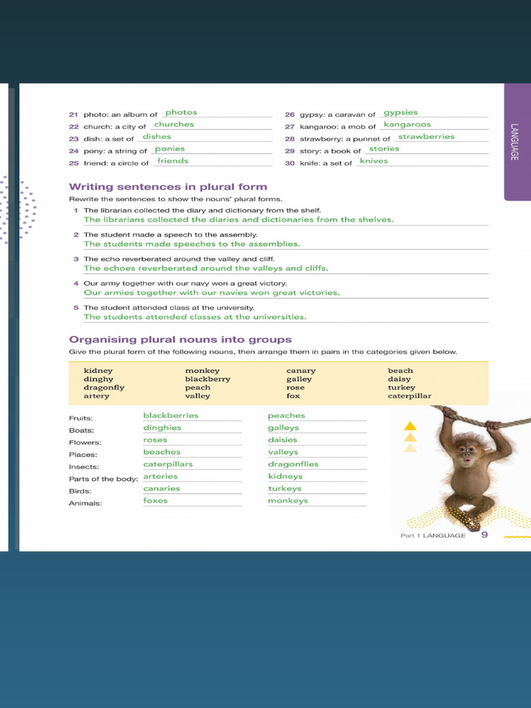 English Essentials Teacher Book 2 Sample | PDF