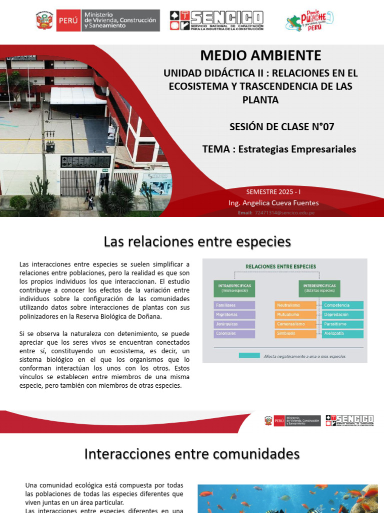 Interacciones en Ecosistemas y Relaciones | PDF | Red alimentaria ...