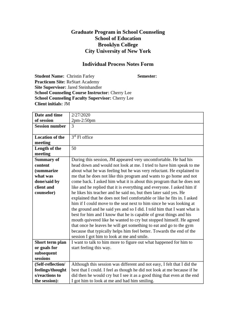 School Counseling Session Notes: JM | PDF