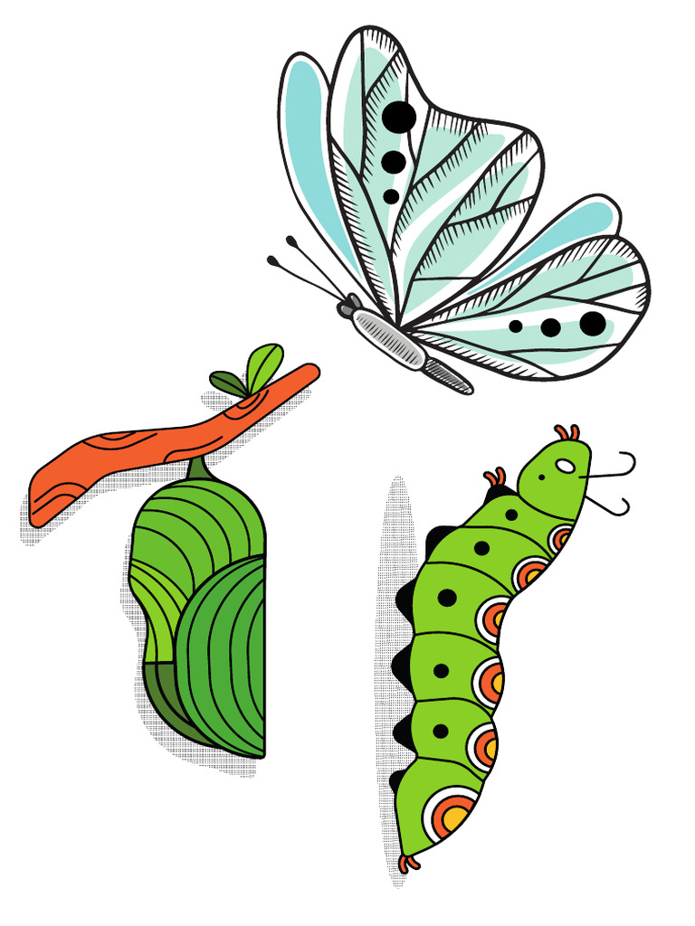 Mariposa | PDF