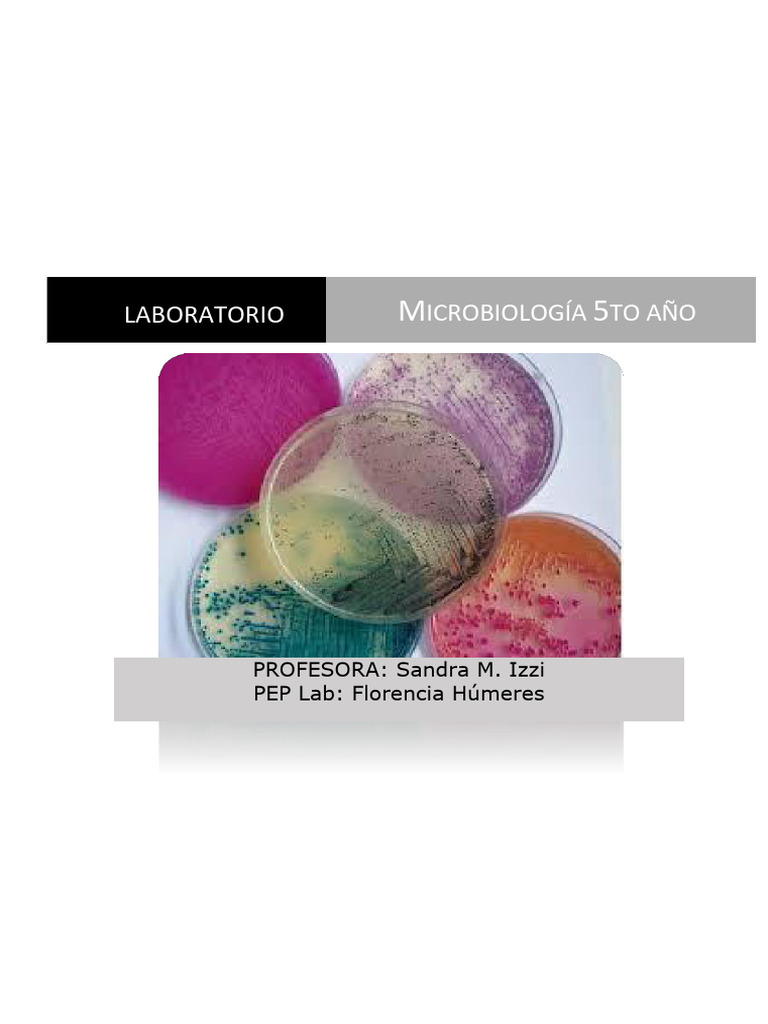 LABORATORIO MICRO | PDF | Tinción | Bacterias Gram-negativo