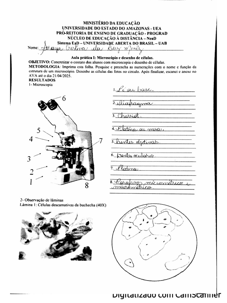 Sc5 AULA PRÁTICAbio | PDF
