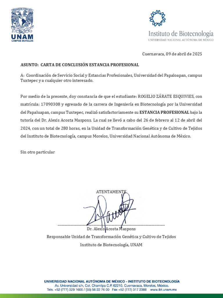 Carta Conclusión Estancia 2024 | PDF