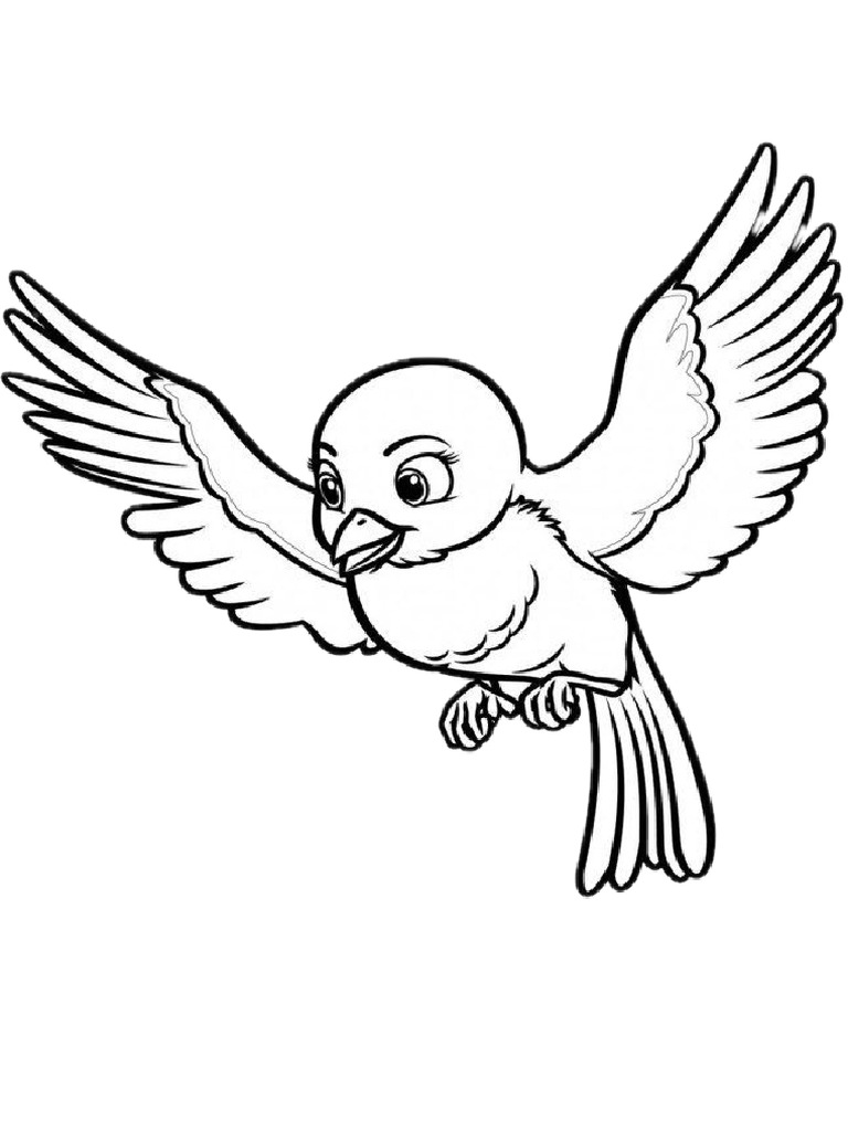 Bird | PDF