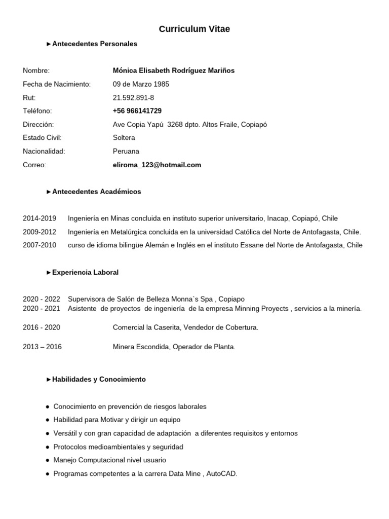 Curriculum Luis | PDF