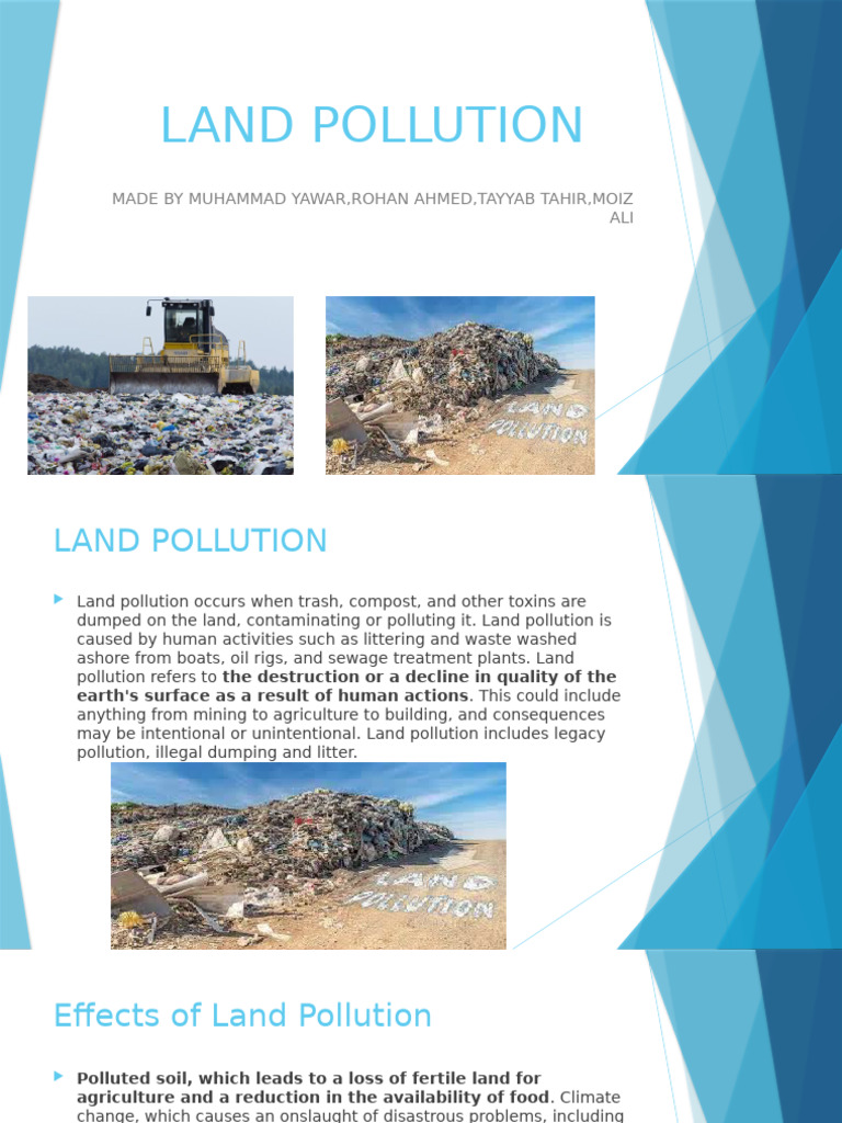 Science Project | PDF