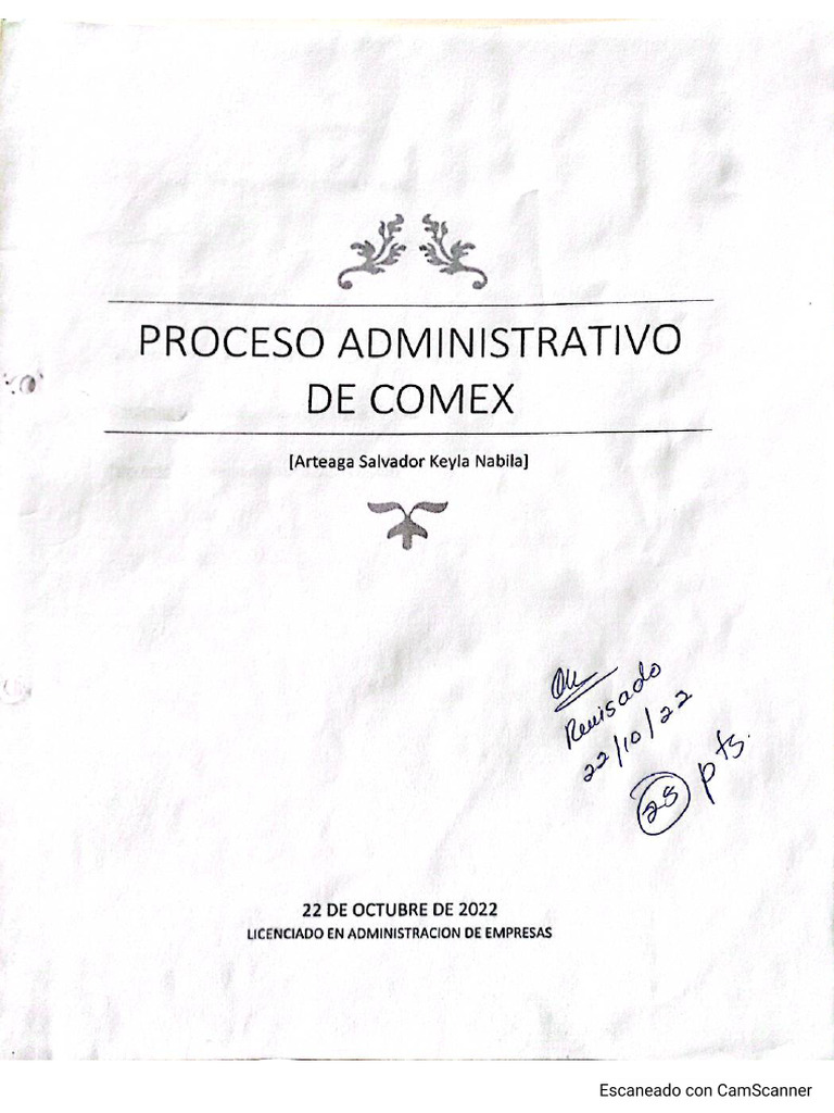 Proyecto Comex | PDF
