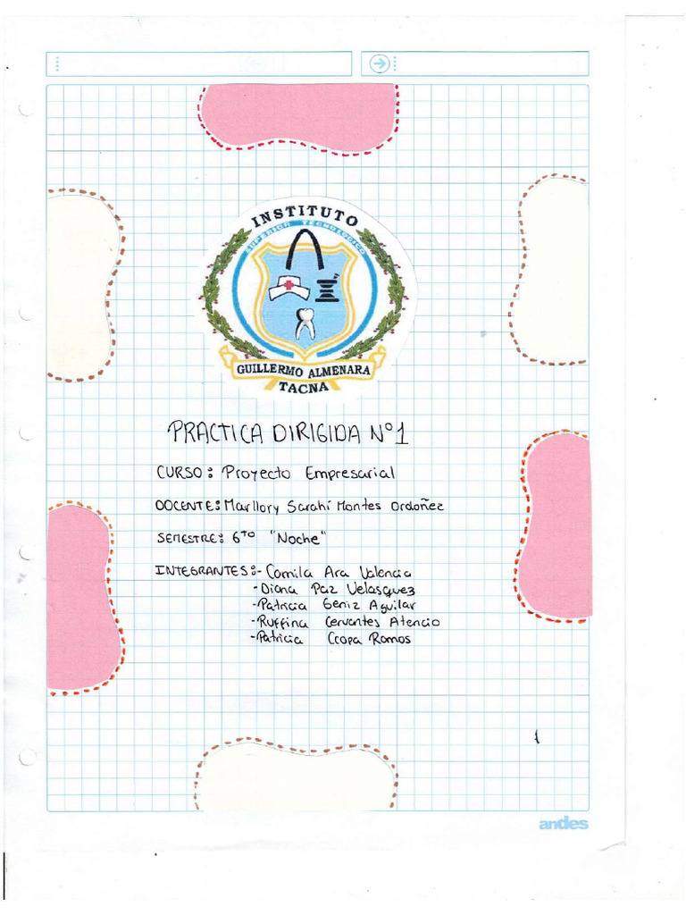 Practica Dirigida 1 y Actividad | PDF