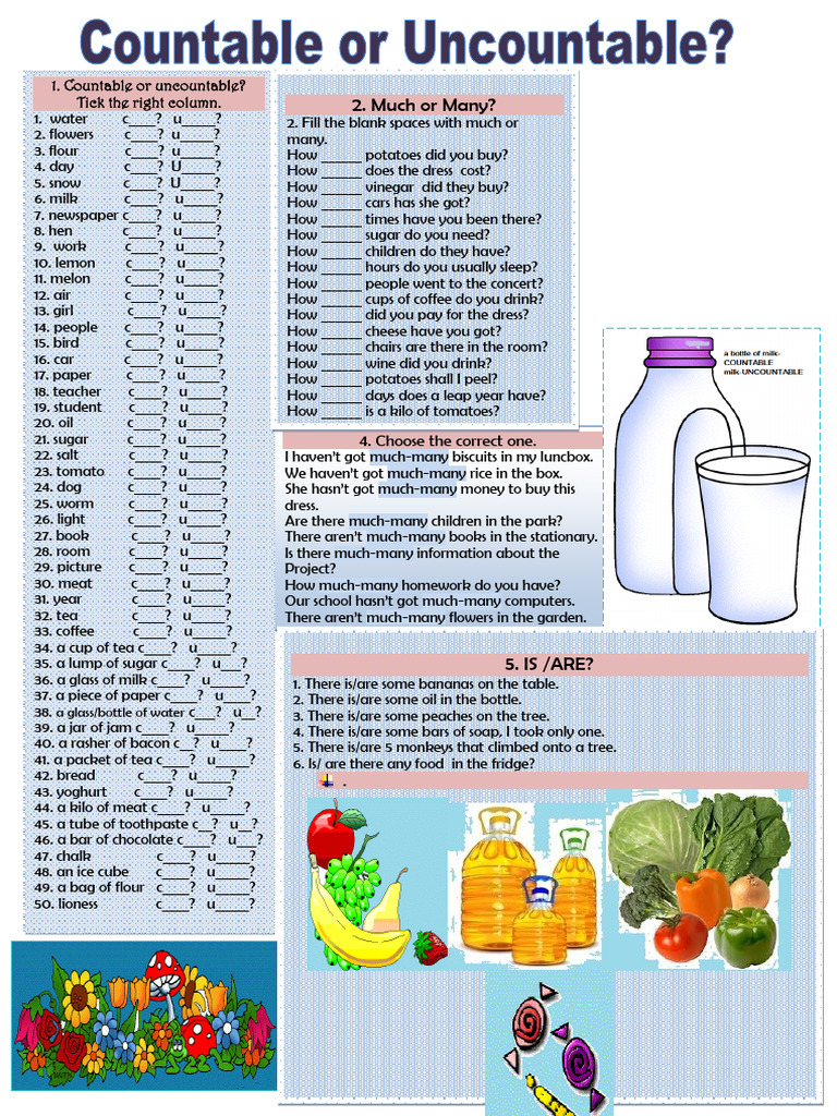 countable_and_uncountable | PDF | Foods | Western Cuisine