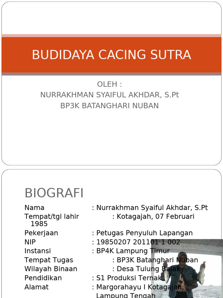 Budidaya Cacing Sutra | PDF