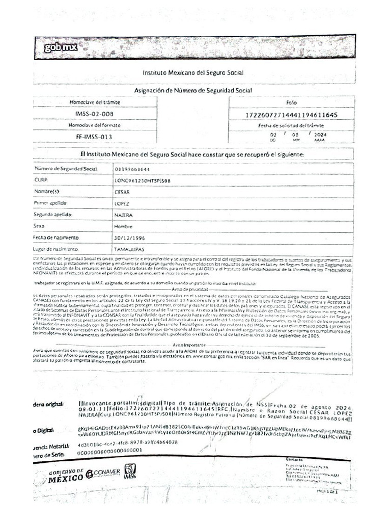 Imms | PDF