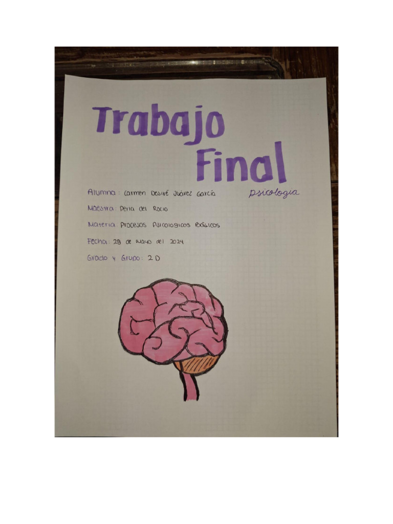Trabajo final ppb | PDF