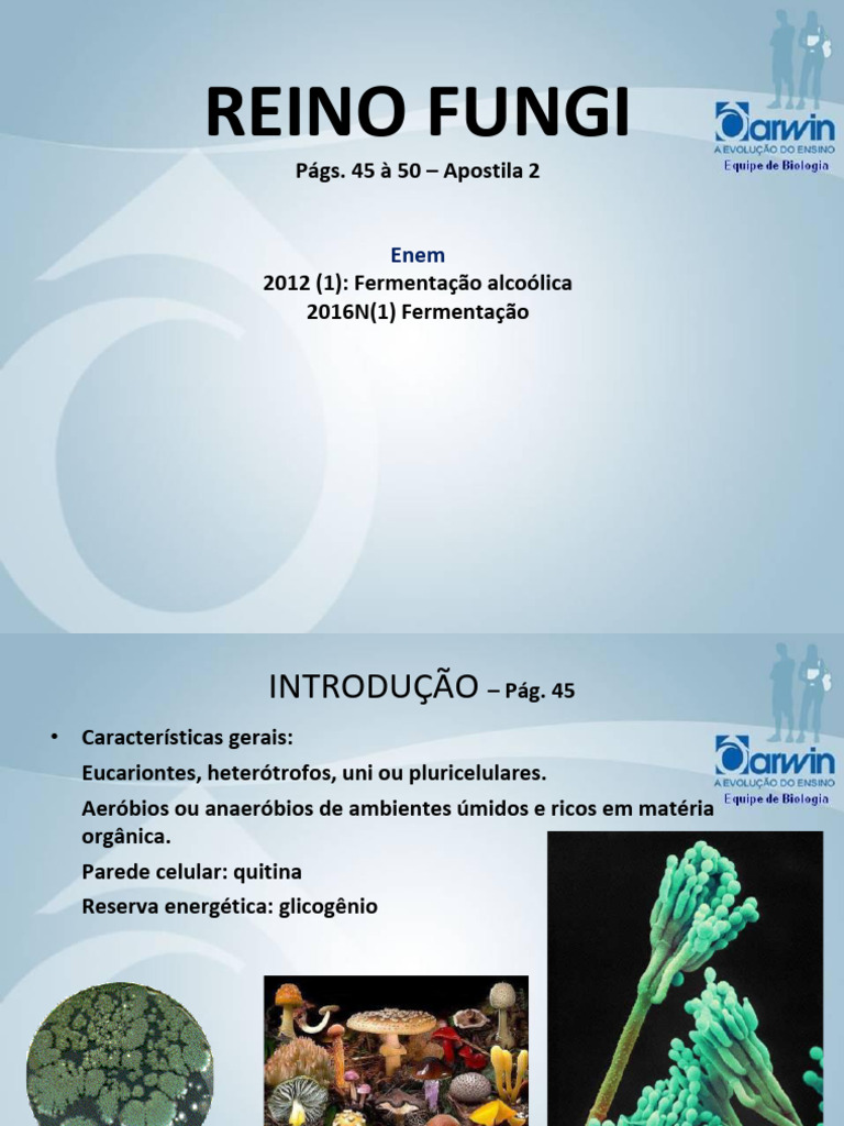 REINO FUNGI 3aSERIE 20250413-200209 | PDF | Fungo | Organismos