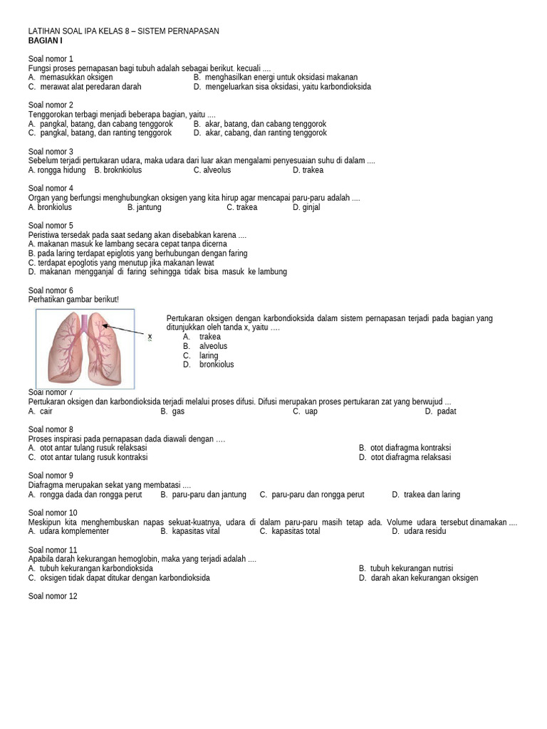 Ilide - Info Latihan Soal Ipa Kelas 8 Sistem Pernapasan PR | PDF