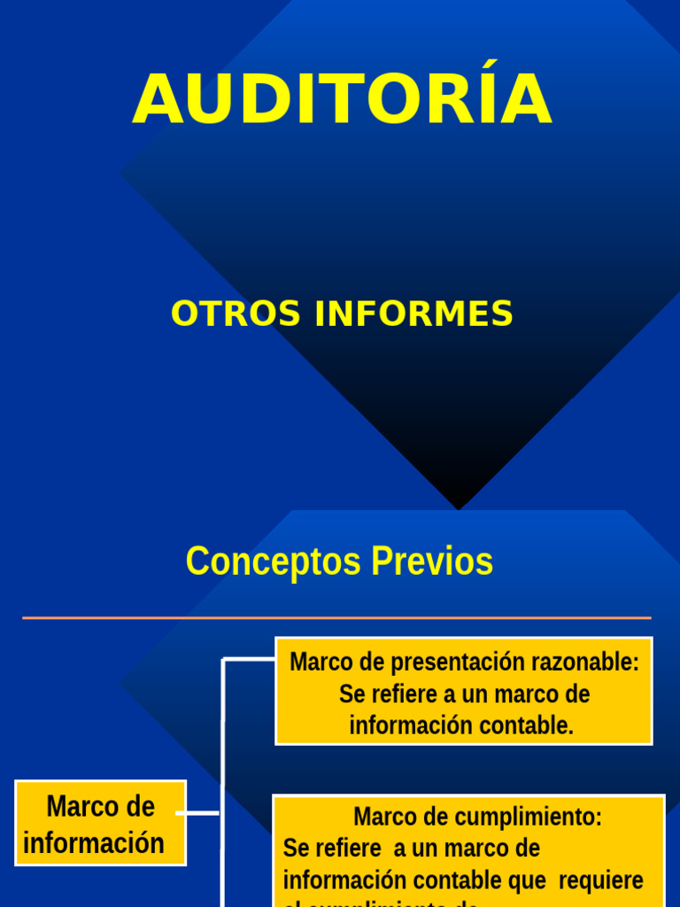 Otros Informes 2020 Parte I | PDF | Contabilidad | Auditoría