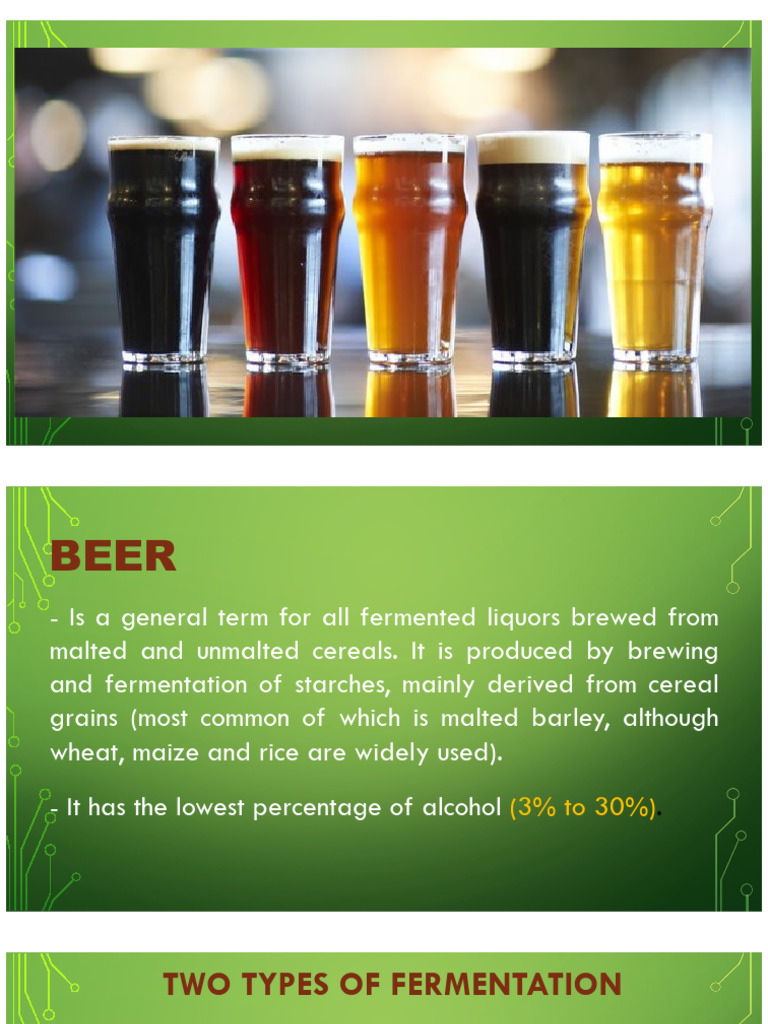 Beer: Types and Fermentation Process | PDF | Brewing | Beer