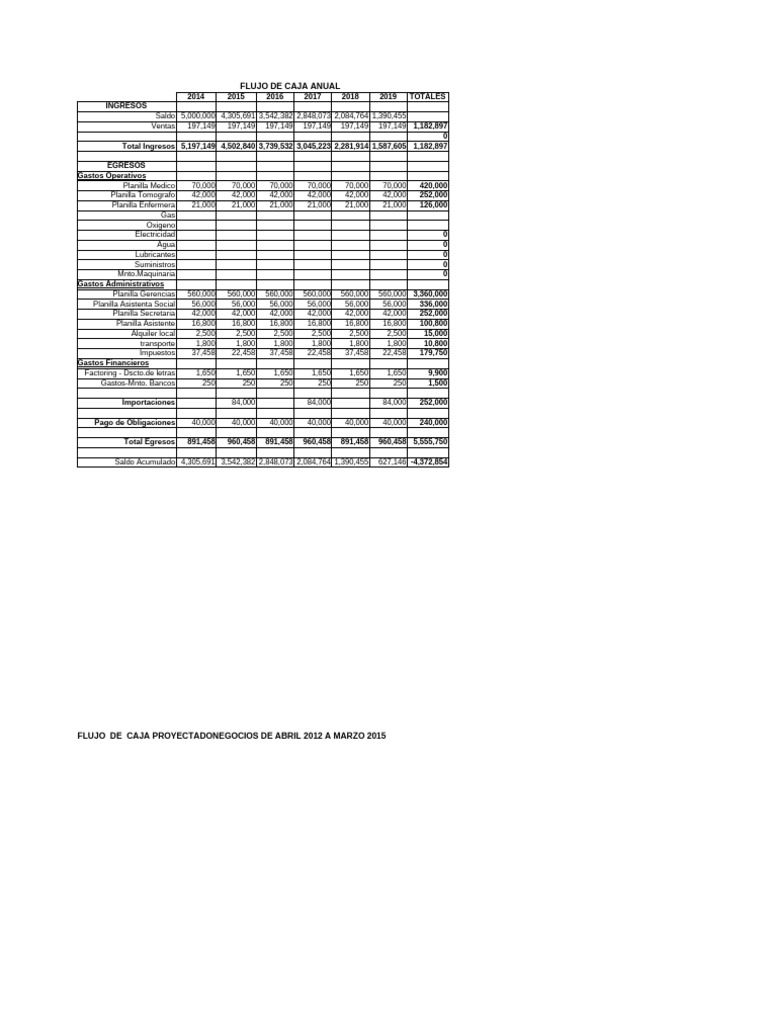 Flujo de Caja Proyectado-Modelo | PDF
