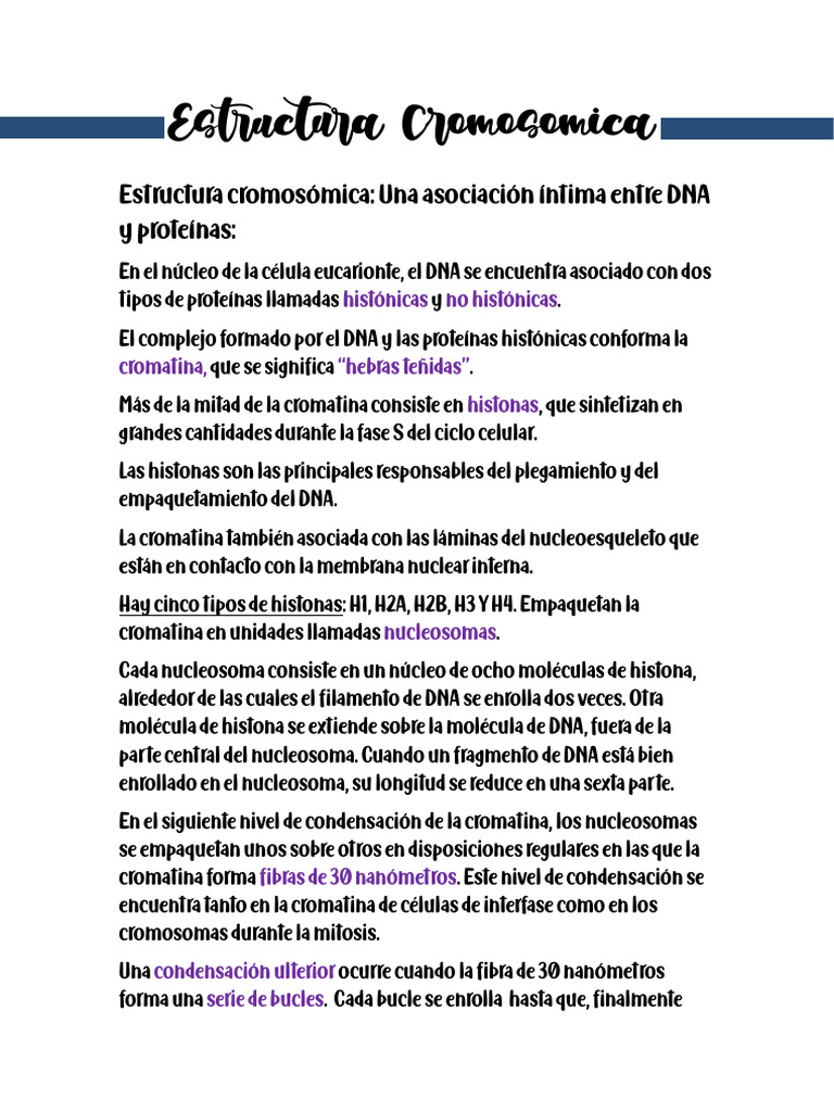 LIBRO - Estructura Cromosómica | PDF | Cromatina | Cromosoma