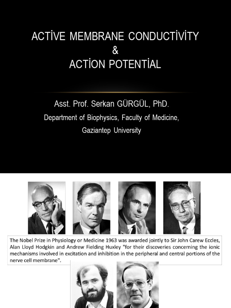 Active Membrane Conductivity & Action Potential | PDF | Action ...