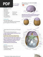 Ethmoid Bone - Location - Structure - Relationships - TeachMeAnatomy | PDF | Human Nose | Human ...