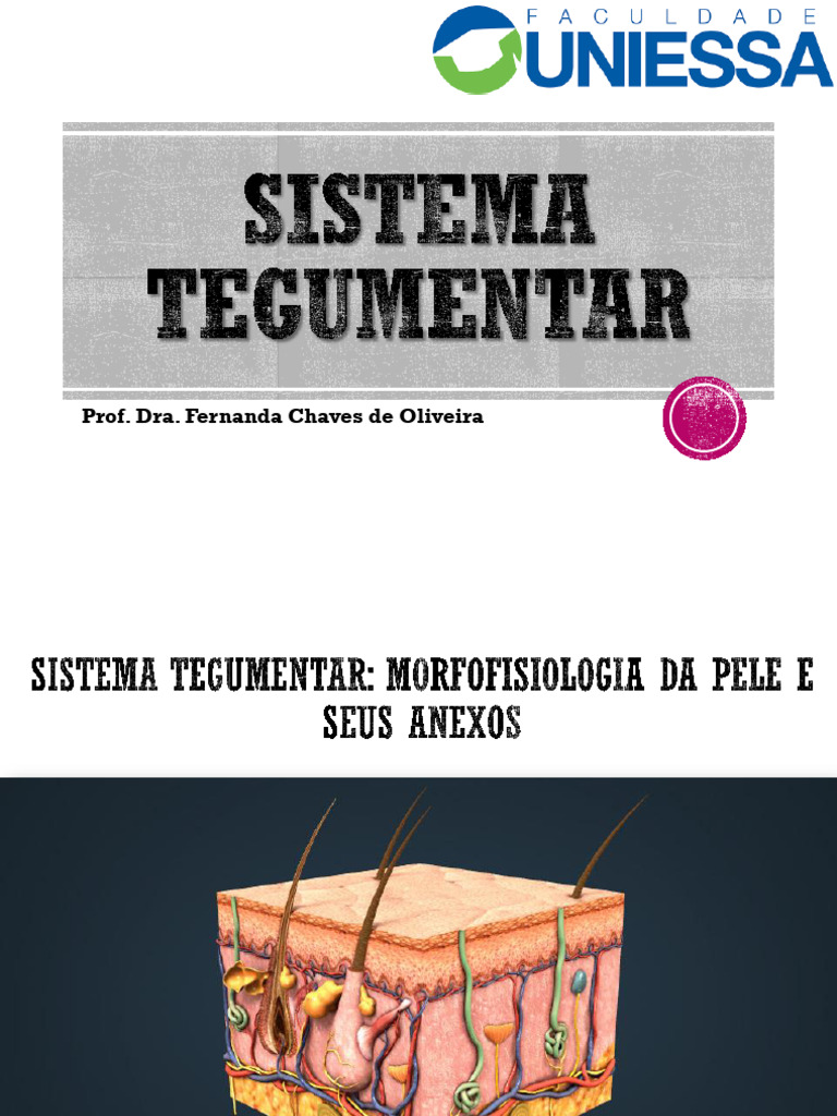 Aula4 SistemaTegumentareseusanexos | PDF | Pele | Epiderme