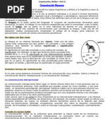 6to. Elementos Extralingüísticos y Paralingüísticos | PDF ...