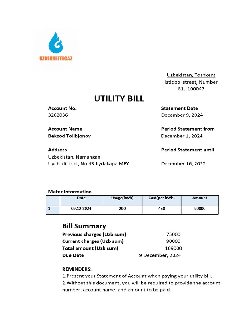 Uzbekistan Utility Bill Statement 2024 | PDF