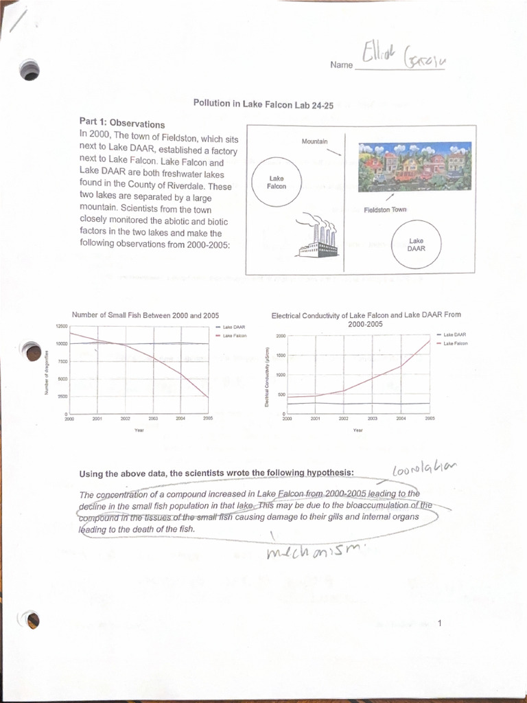 Pollution in Lake Falcon Lab 24-25 | PDF