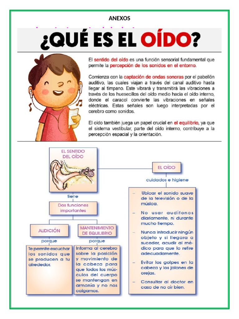 ANEXOS Sentidos Del Oído... | PDF