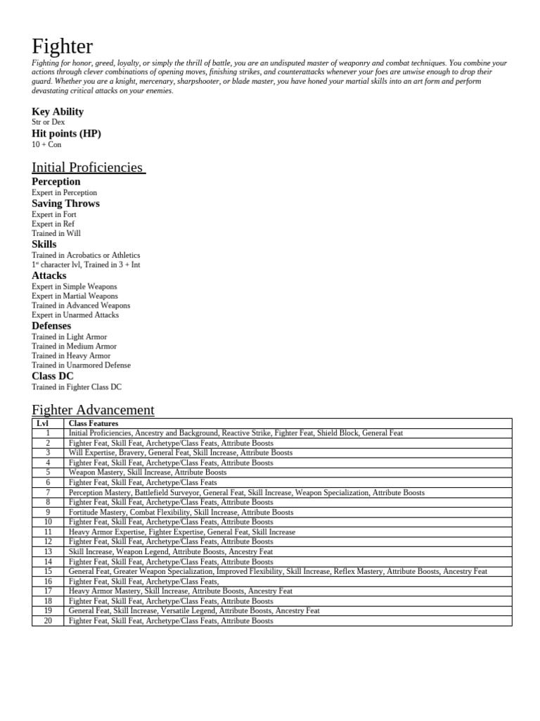Class - Fighter Remaster | PDF | Fighter Aircraft | Armour