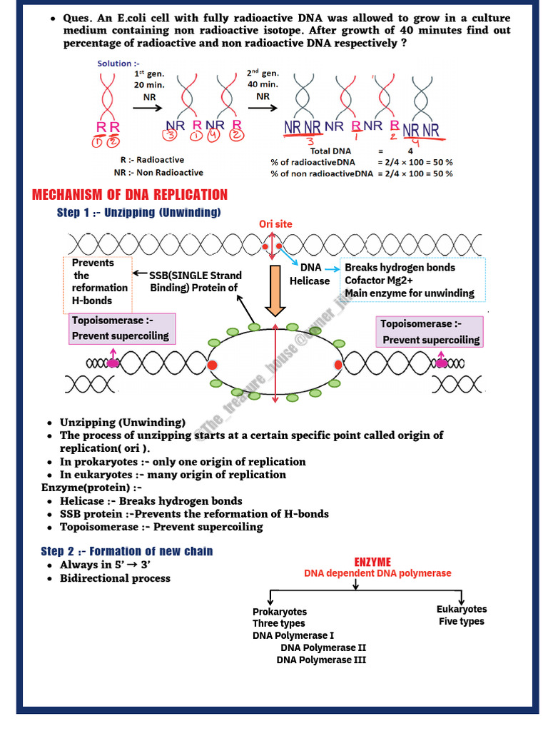 DNA Replication and RNA Mechanisms Explained | PDF | Genetic Code | Rna