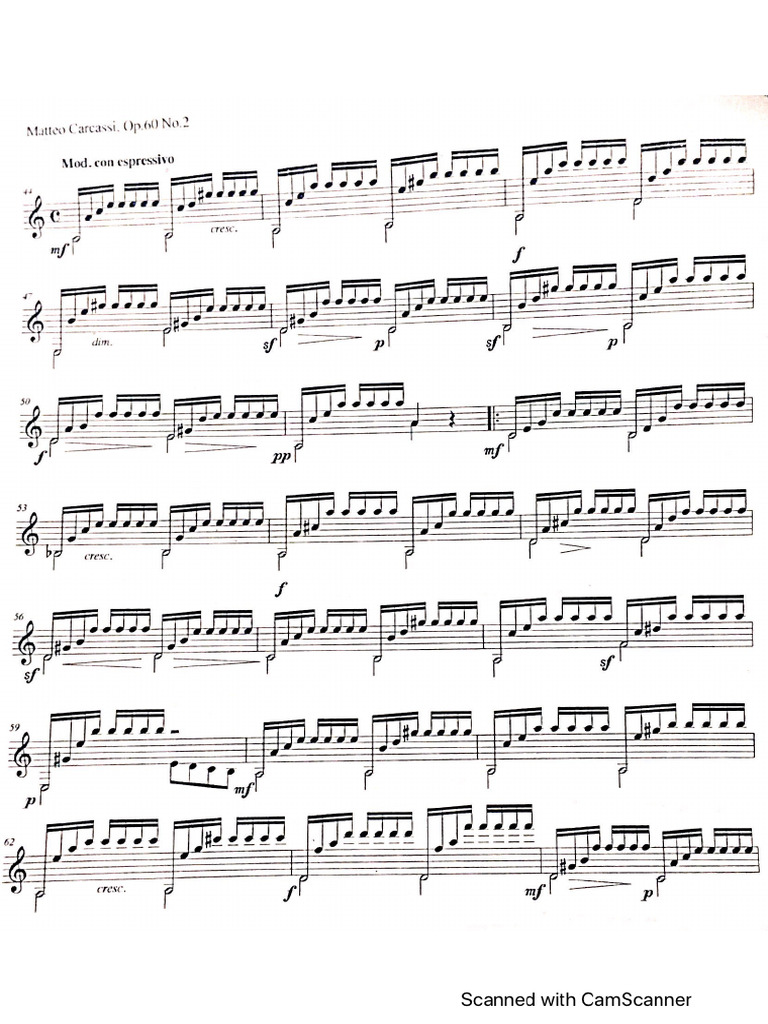 Carcassi | PDF