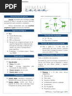 Ficha Antirrabica Preenchivel 27112020 | PDF | Raiva | Sistema de saúde