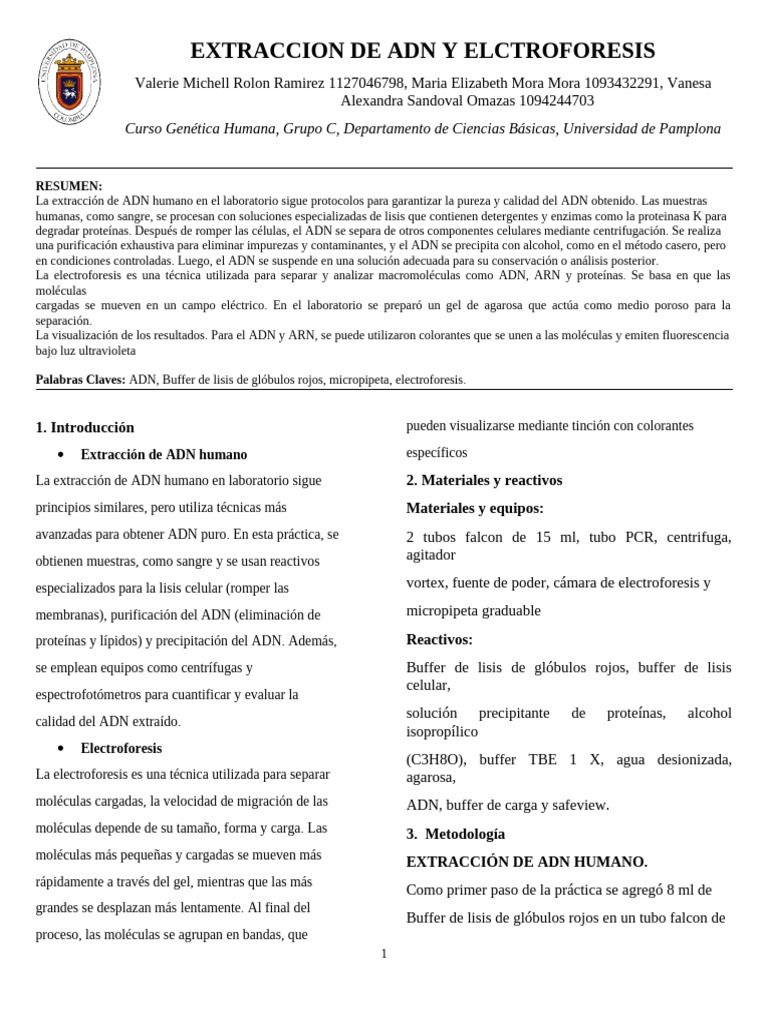 Electroforesis 222 | PDF | Adn | Proteínas