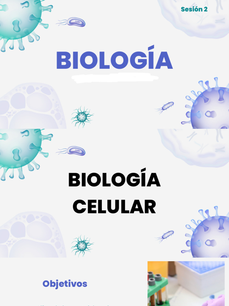 Características de Células: Procariotas y Eucariotas | PDF | Biología ...