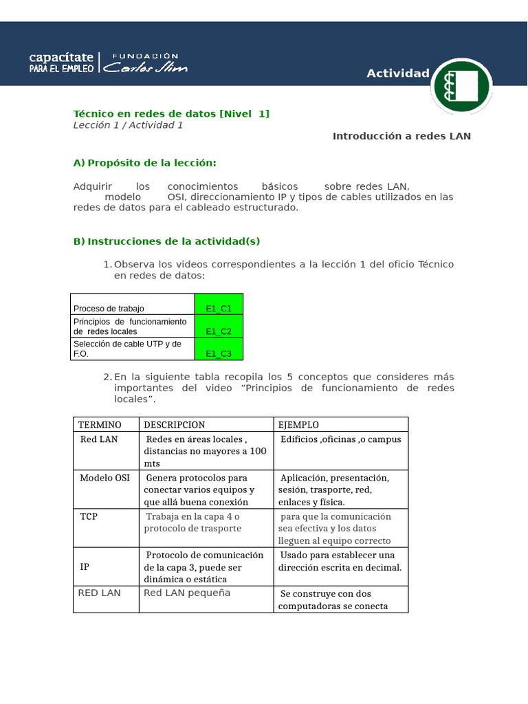 Tecnico en Redes de Datos - Nivel1 - Leccion1 - AVP | PDF | Red de computadoras | Protocolos de ...