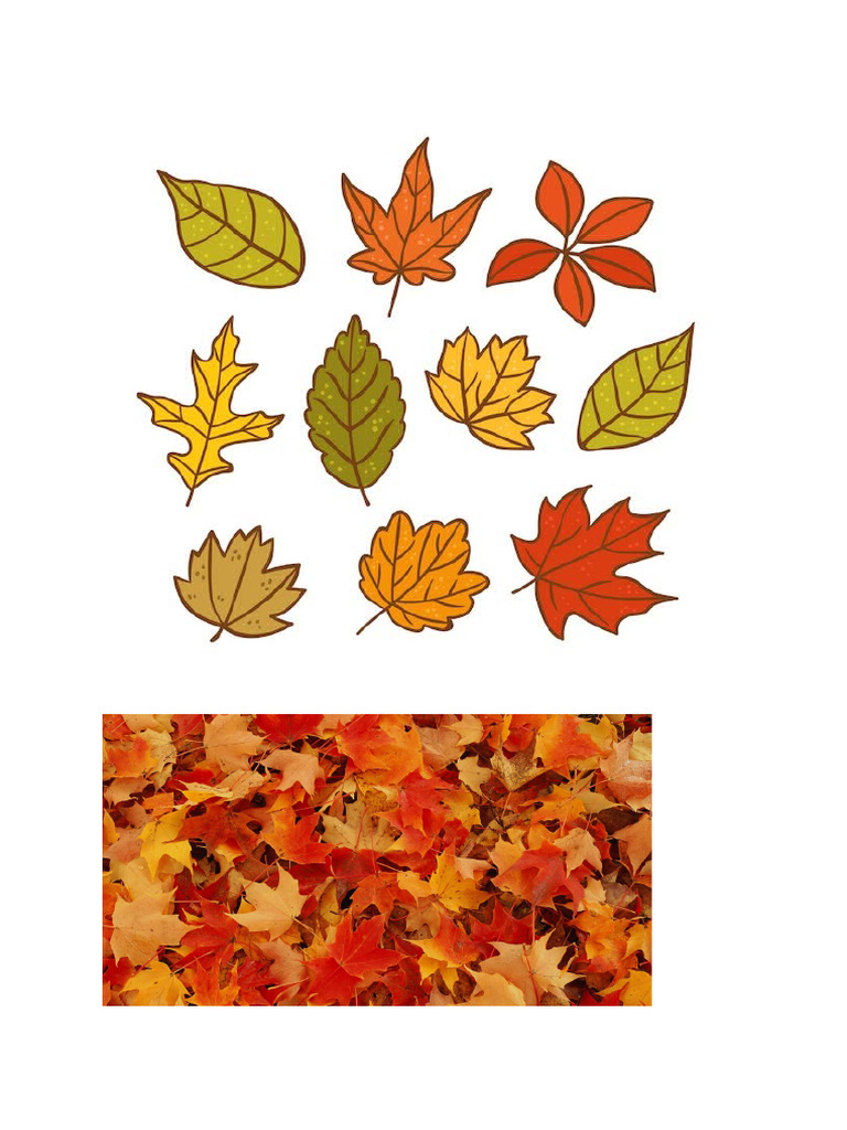 autumn leaves | PDF