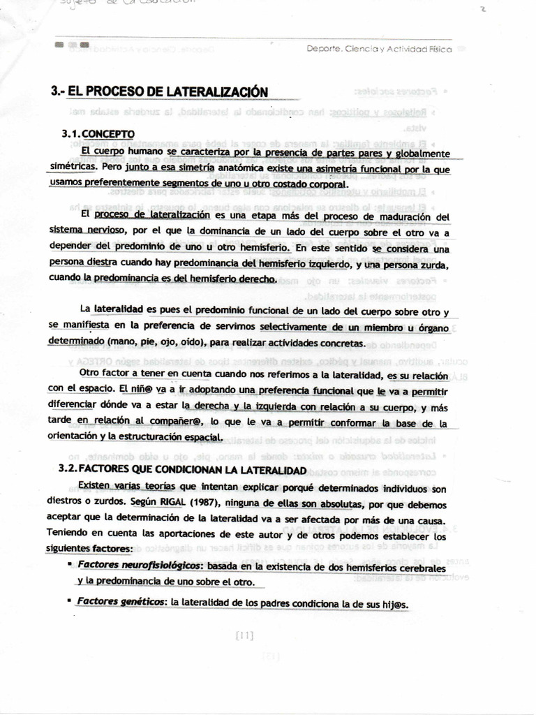 proceso de lateralizacion | PDF