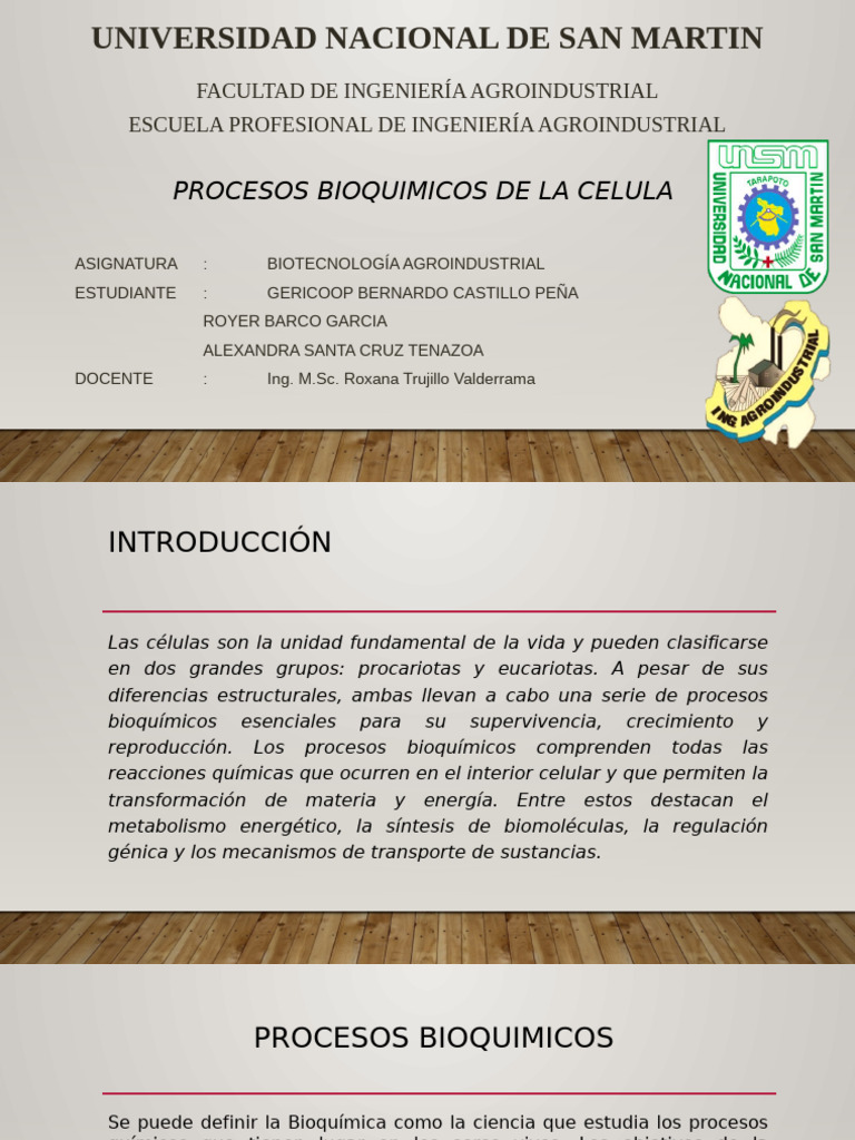 Procesos Bioquimicos de La Celula | PDF | Respiración celular ...