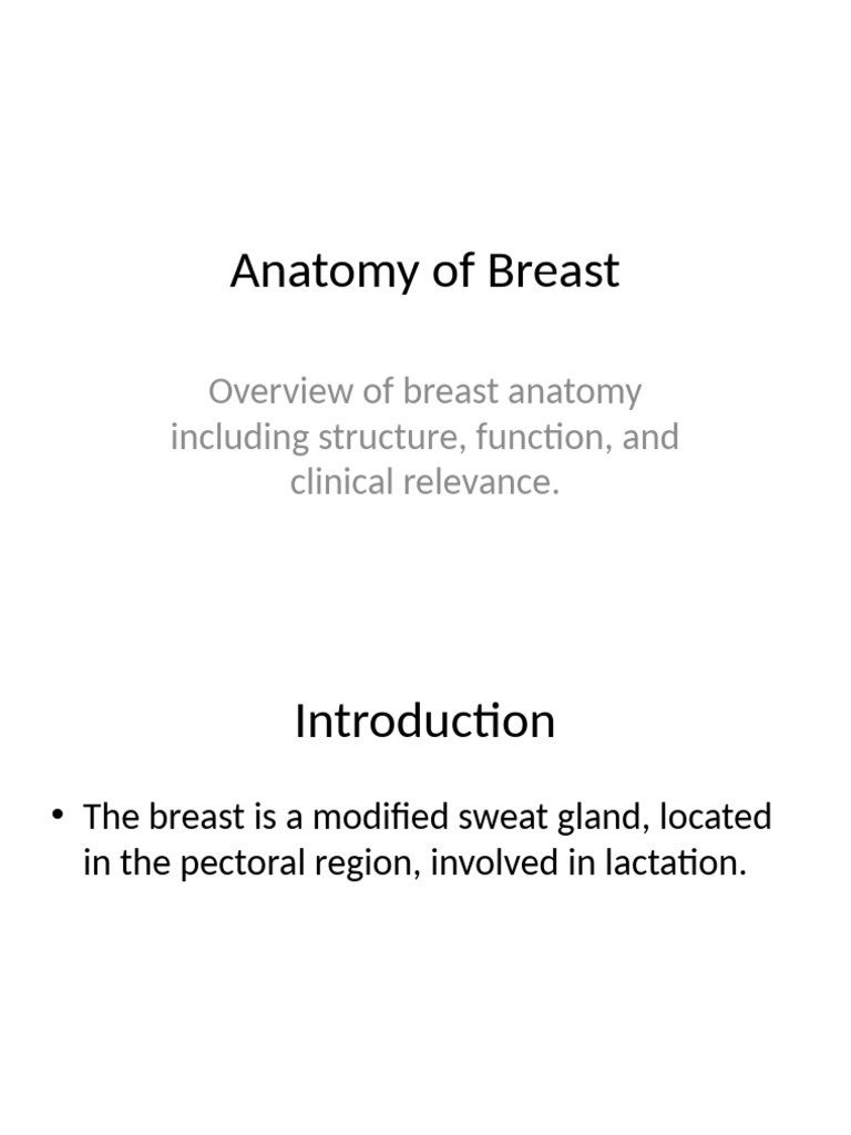 Breast Anatomy: Structure and Function | PDF