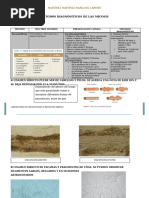 Manual Gerencia SIC: Uso y Herramientas | PDF | Información | Ventana ...