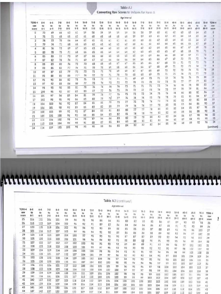 4.3. TONI-4 Calificación | PDF