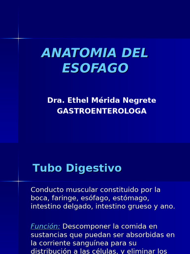 Anatomía y Función del Esófago | PDF | Esófago | Estómago
