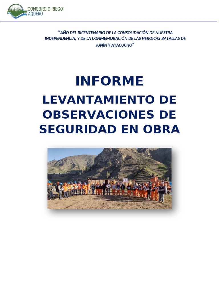 Informe Lev. de Obs SST | PDF | Evaluación de impacto ambiental | Entorno natural